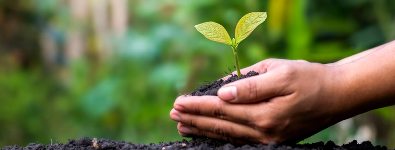 recycled type of waste you can start doing it now whether for your ...